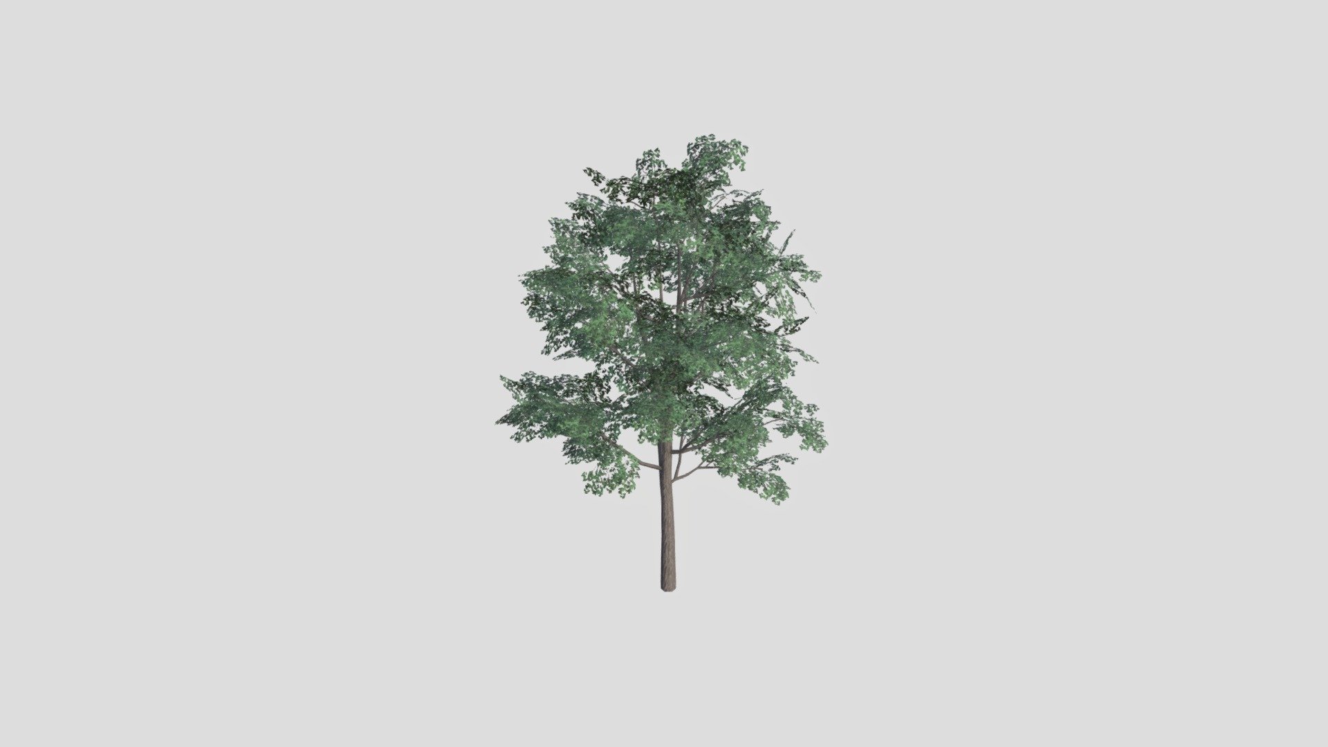 tree3 - 3D model by sadud123 [010cd11] - Sketchfab
