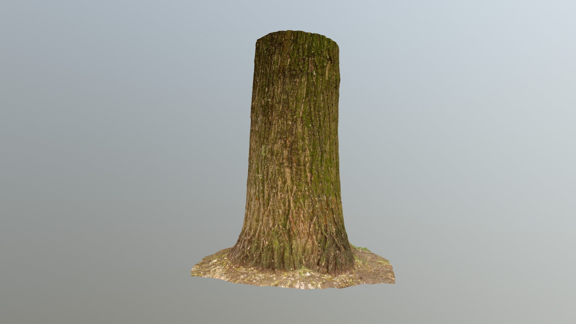 Tree base wip - Buy Royalty Free 3D model by Ludovico Antonicelli (@lud ...