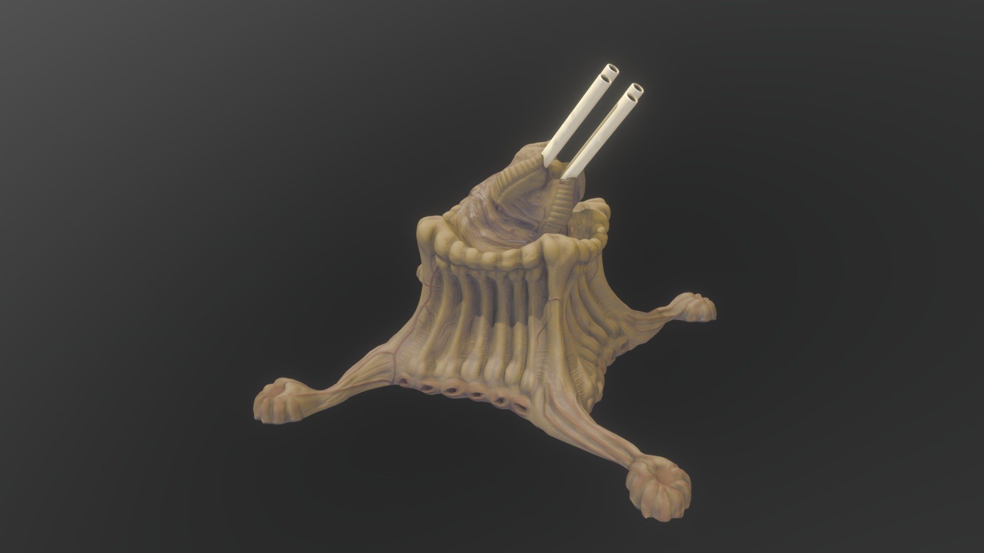 Barren Gun - 3D model by SonofSons [011e08d] - Sketchfab