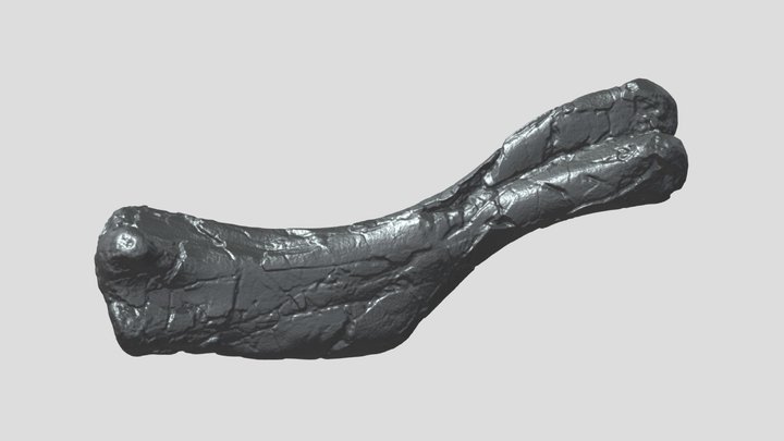 Hadrosaur 3D models - Sketchfab