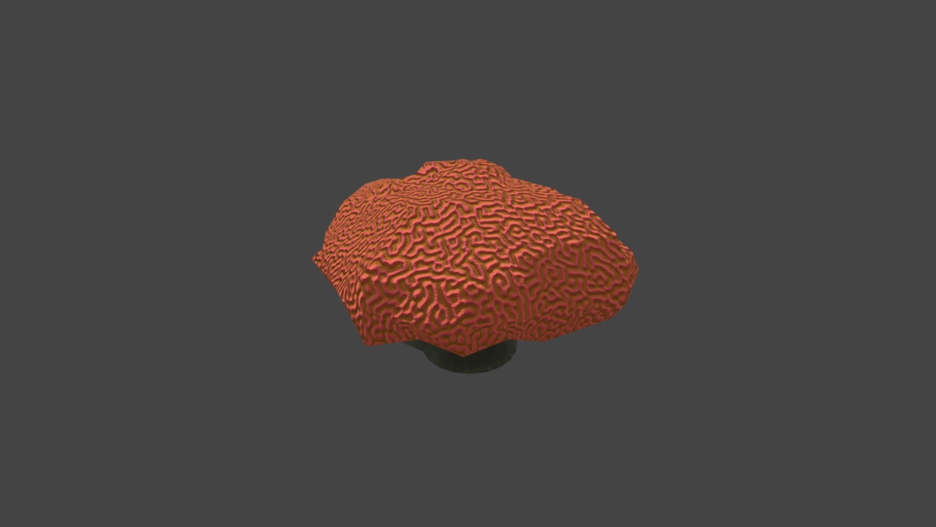 Brain Coral 3.3 - Download Free 3D model by jazz-the-giraffe [0137801 ...
