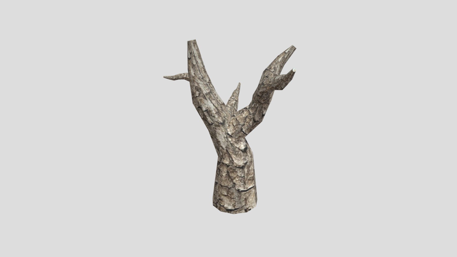 Tree - 3D model by freebs [0143dc6] - Sketchfab