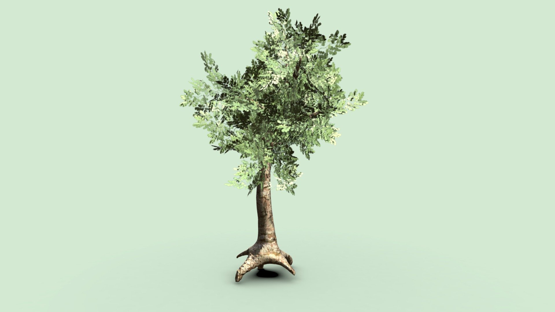 Tree - 3D model by PaineappleLee [0149ce6] - Sketchfab