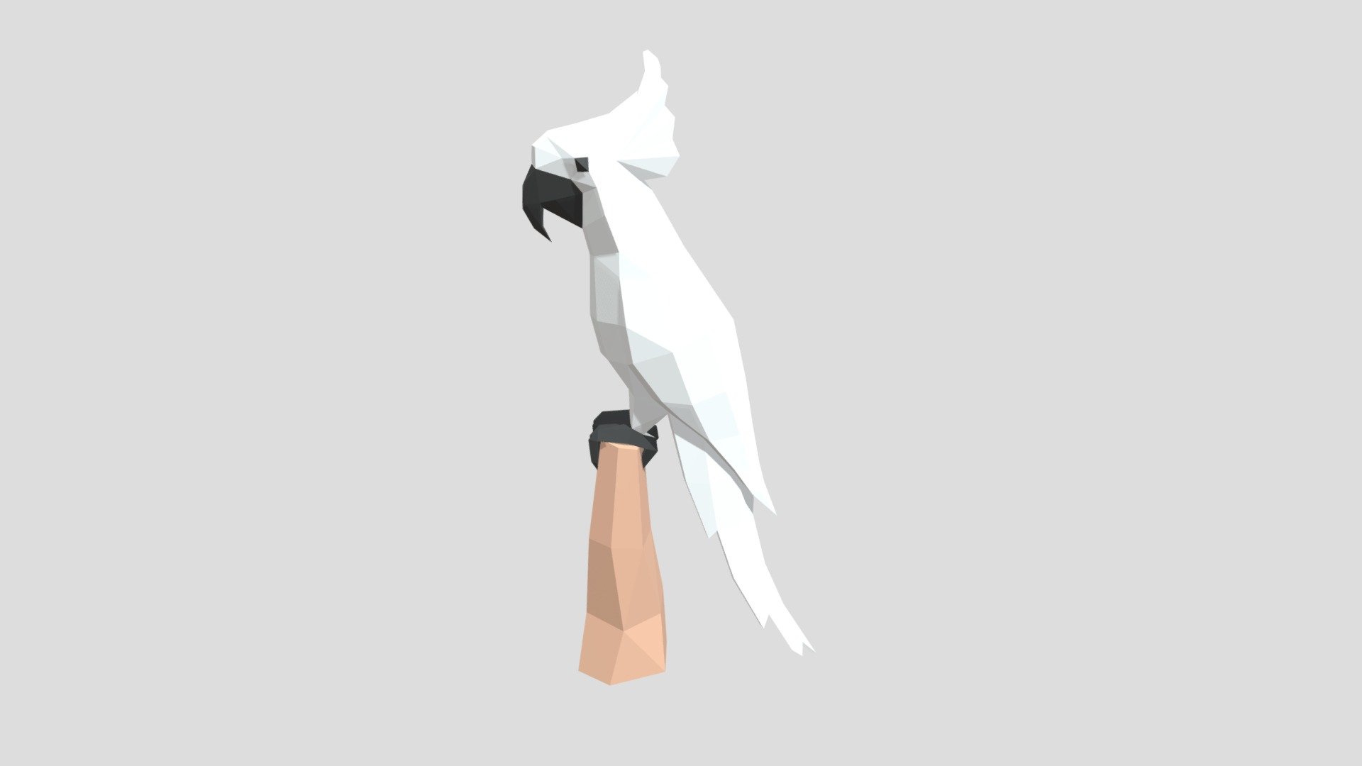 Parrot - 3D model by latypov64rafail [014d231] - Sketchfab