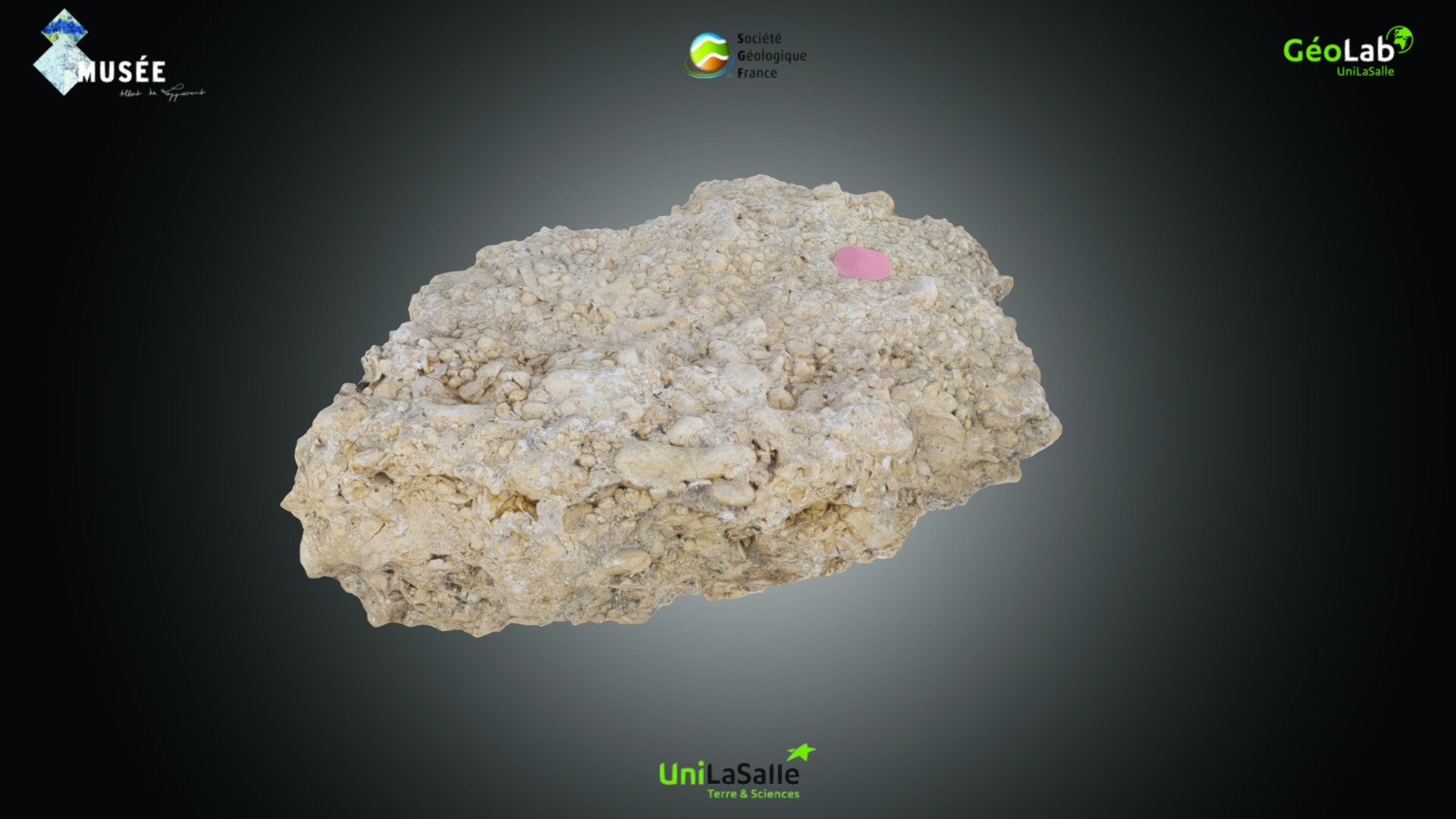Roche - Calcaire à entroques - Download Free 3D model by Société ...