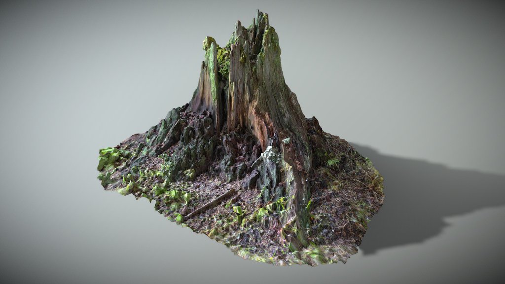Flowscape - A 3D model collection by legend10601 - Sketchfab