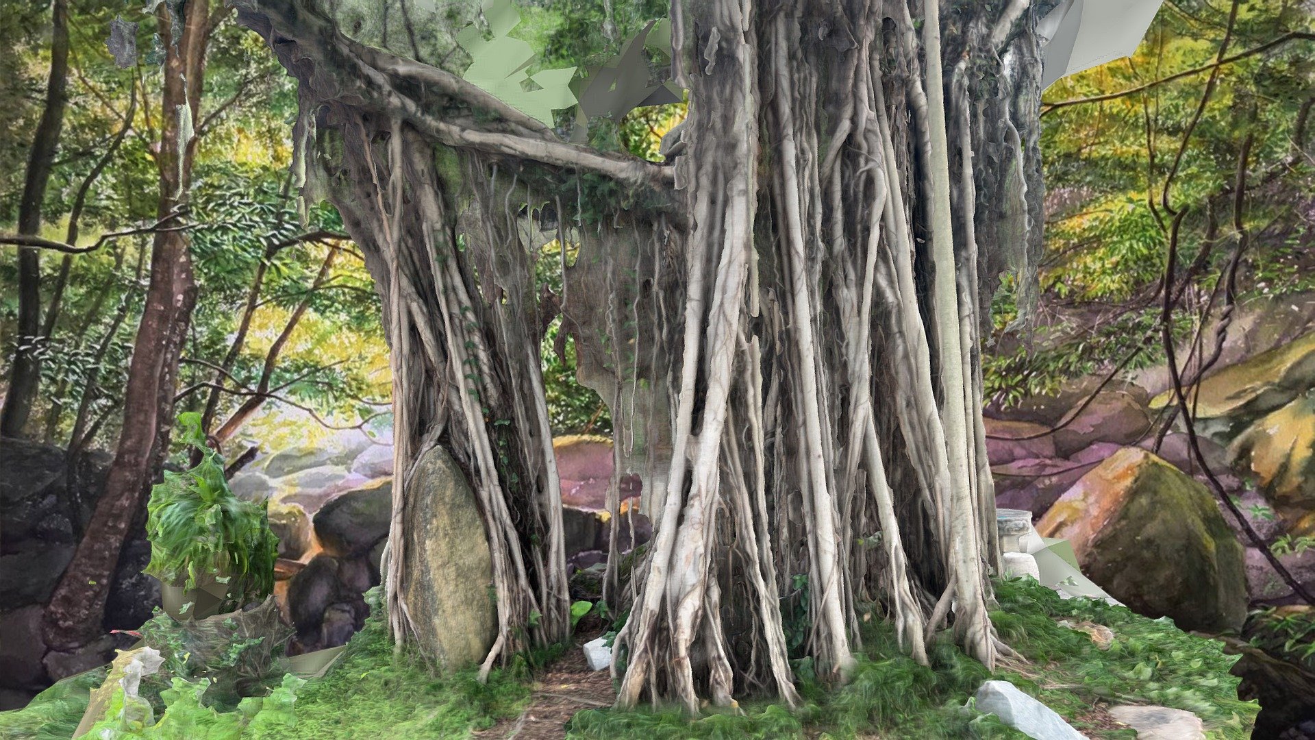 banyan tree 福州烟台山榕树 - Buy Royalty Free 3D model by haibo (@haibo545001 ...