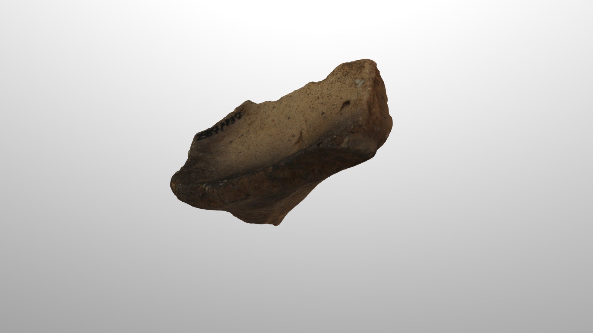 Ceramic Foot Artifact - 3D model by AppStateAnthropology [016bc24 ...