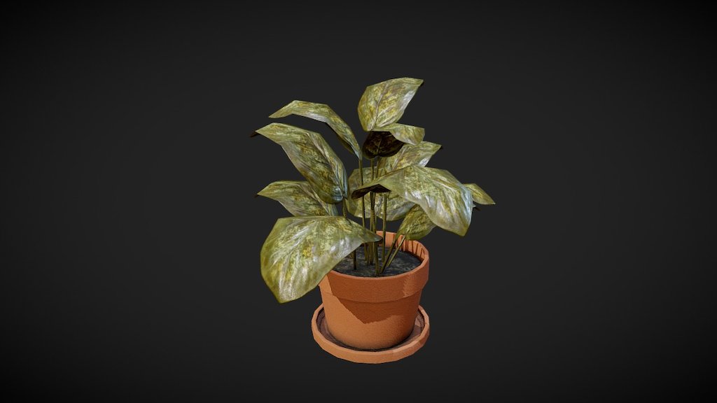 House Plant - 3D model by minemine [0170e7c] - Sketchfab