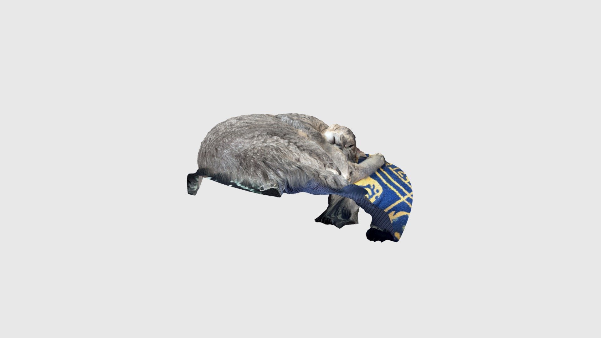 Abigail curled up - Download Free 3D model by asgromo [01780e9] - Sketchfab