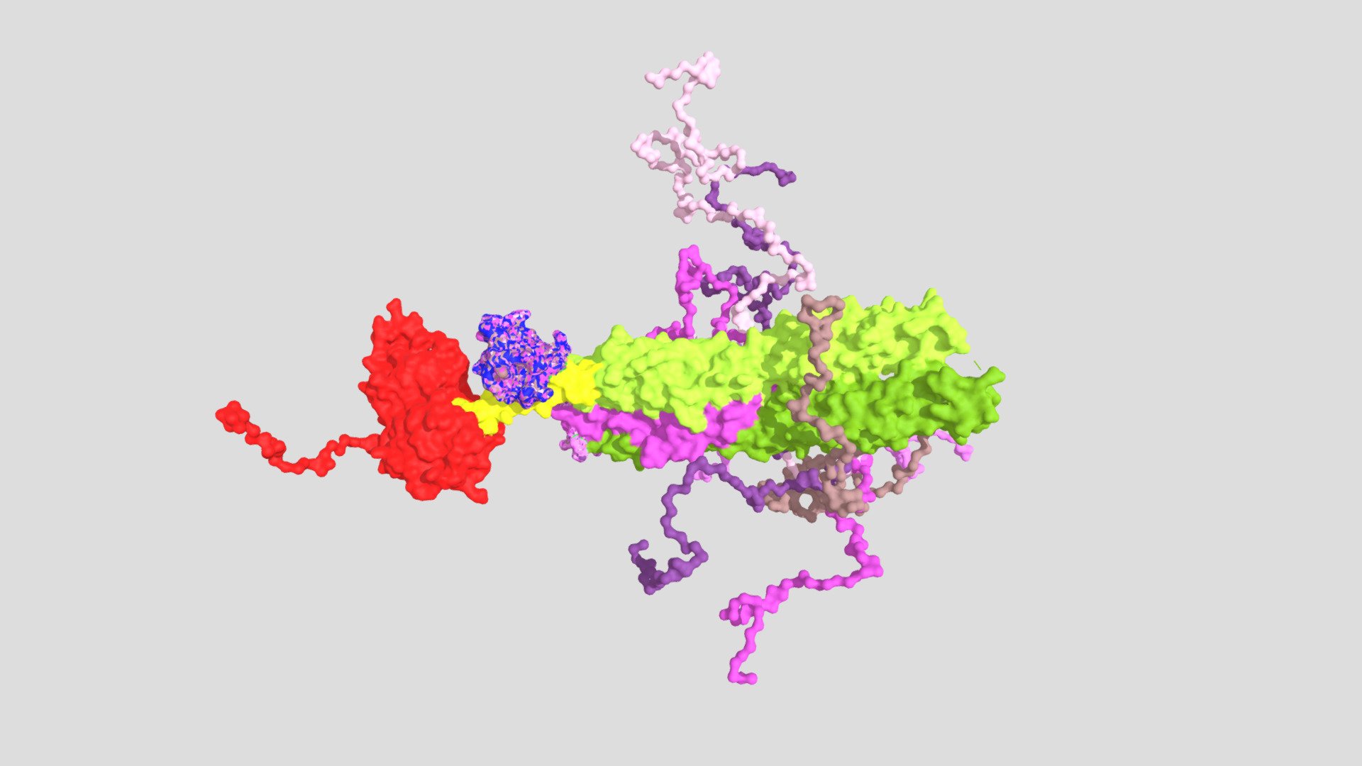 Actinin FATZ Figure 4D half-dimer SAXS - 3D model by kristina.djinovic ...