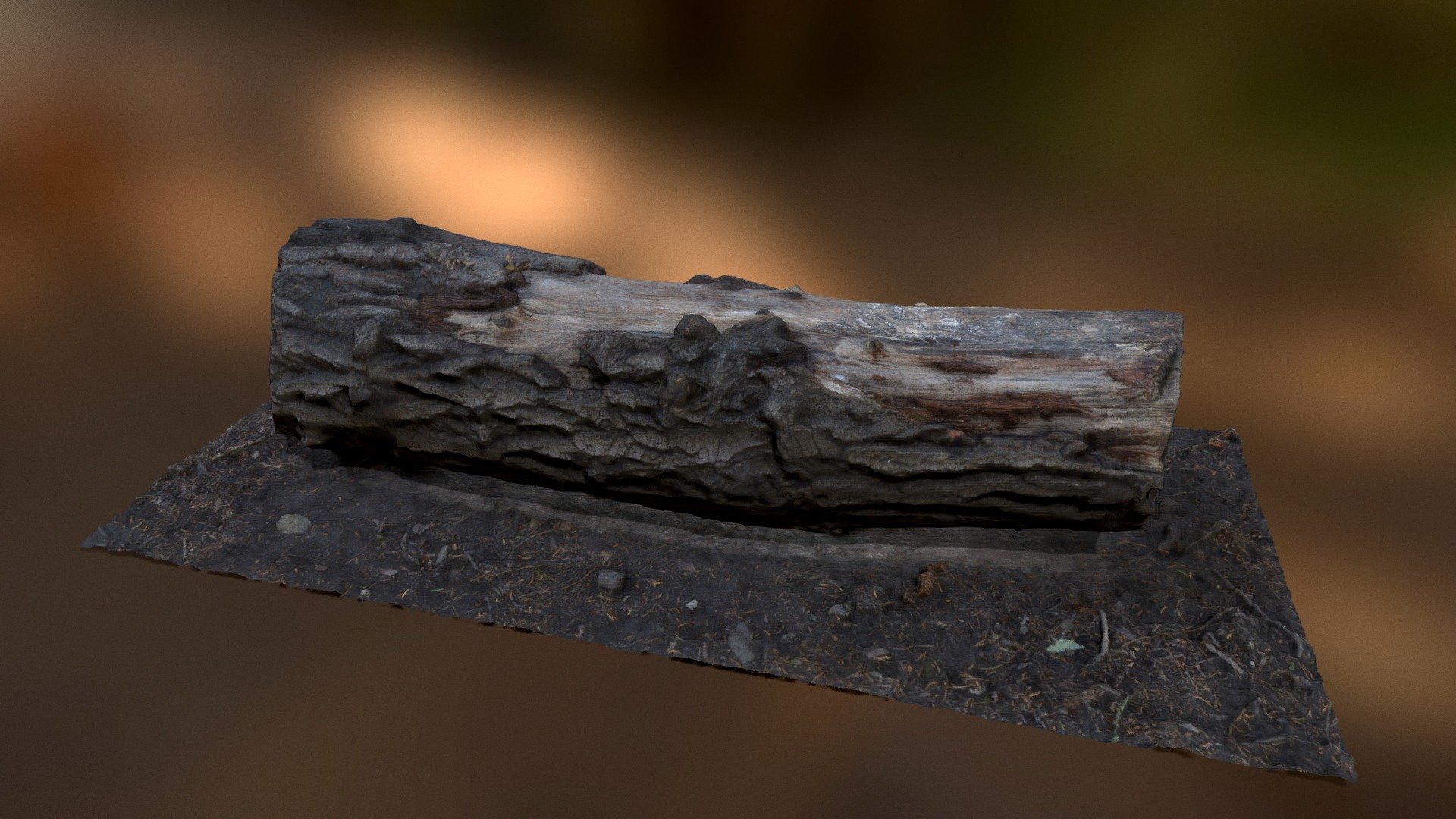 Log - Photogrammetry Test - Download Free 3D model by David Phoenix ...
