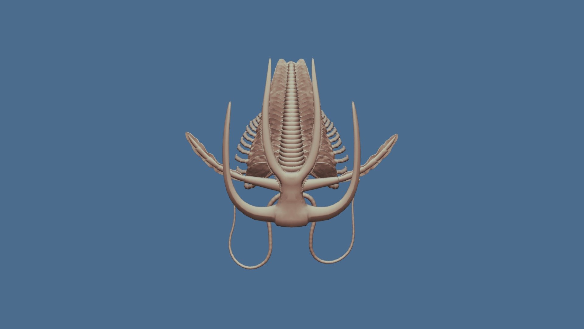 Marrella by Bruce Currie - 3D model by rellacollective [0188747 ...