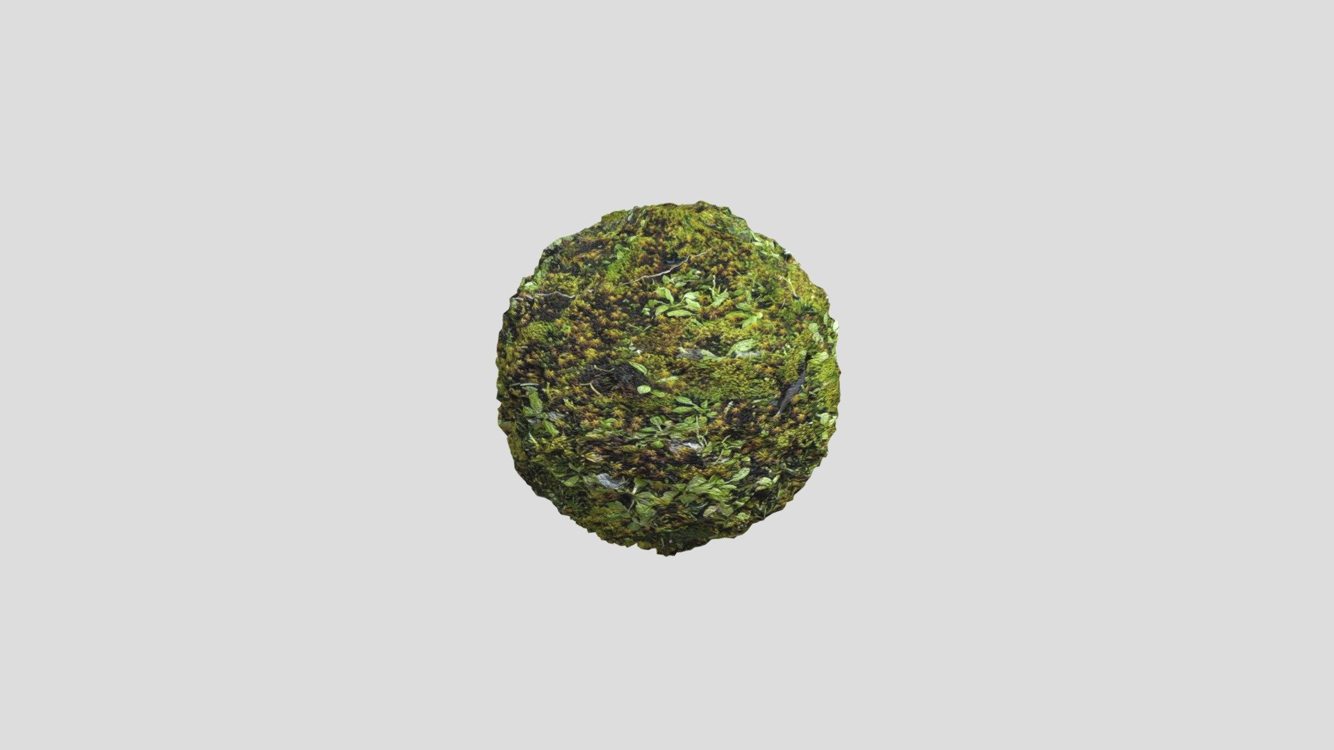 Moss - 3D model by kasyakine [0189036] - Sketchfab