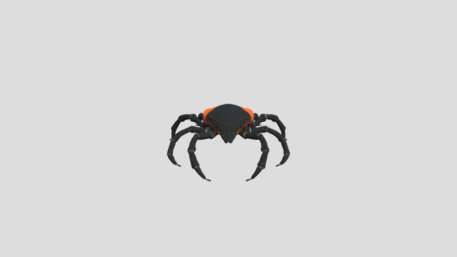 Spider Animation - 3D model by SabahZahid (@dummydeckbeast) [018b9d4 ...