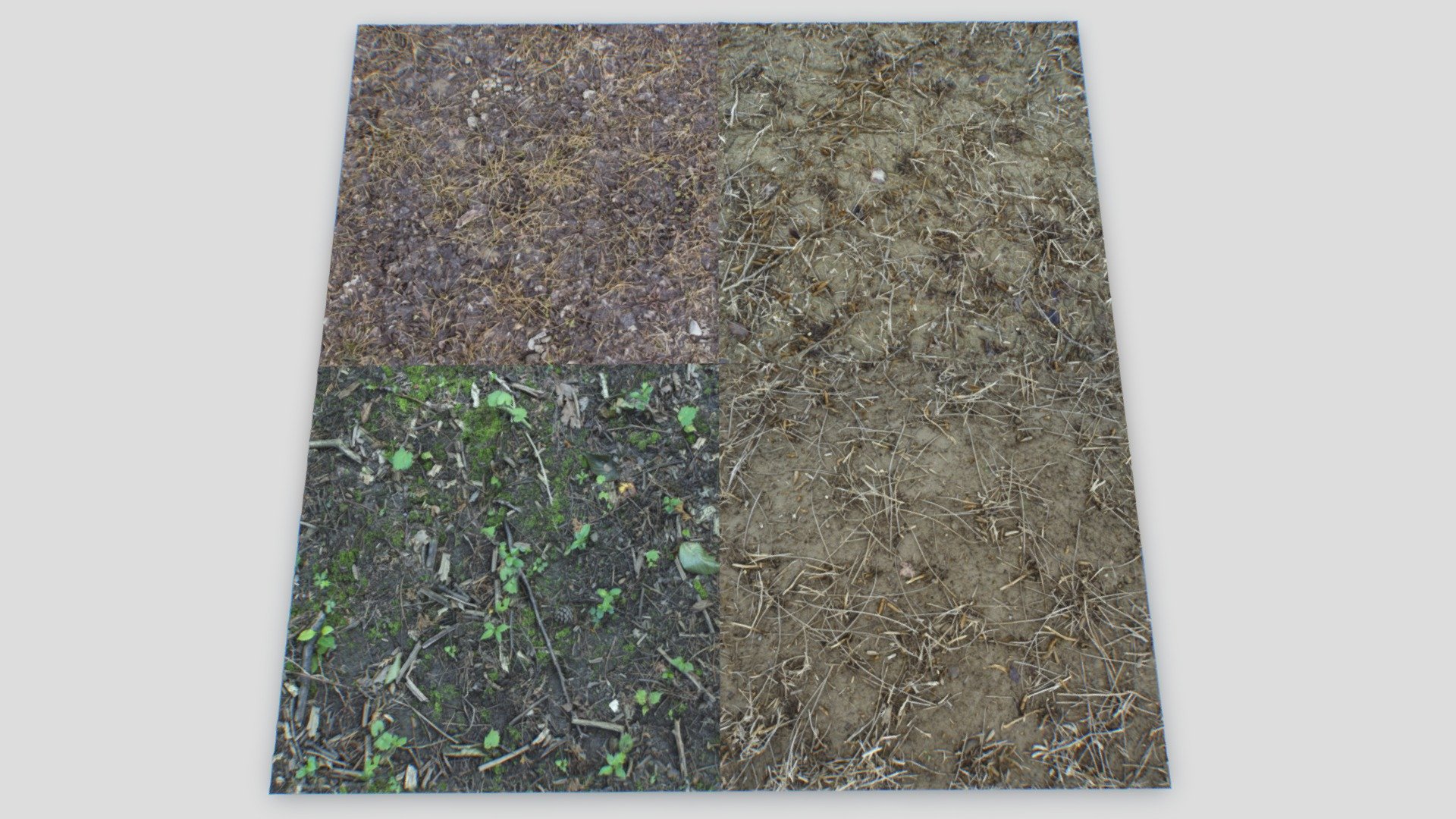 Forest dirt Pack 5 Textures - Buy Royalty Free 3D model by 32cm ...
