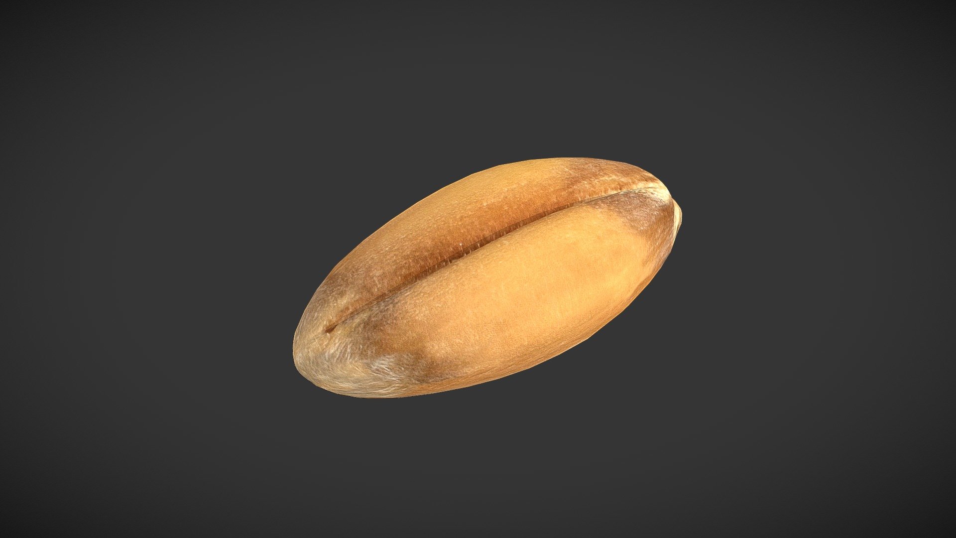 Soft Red Wheat - 3D model by Oregon State University | Ecampus [0194939 ...
