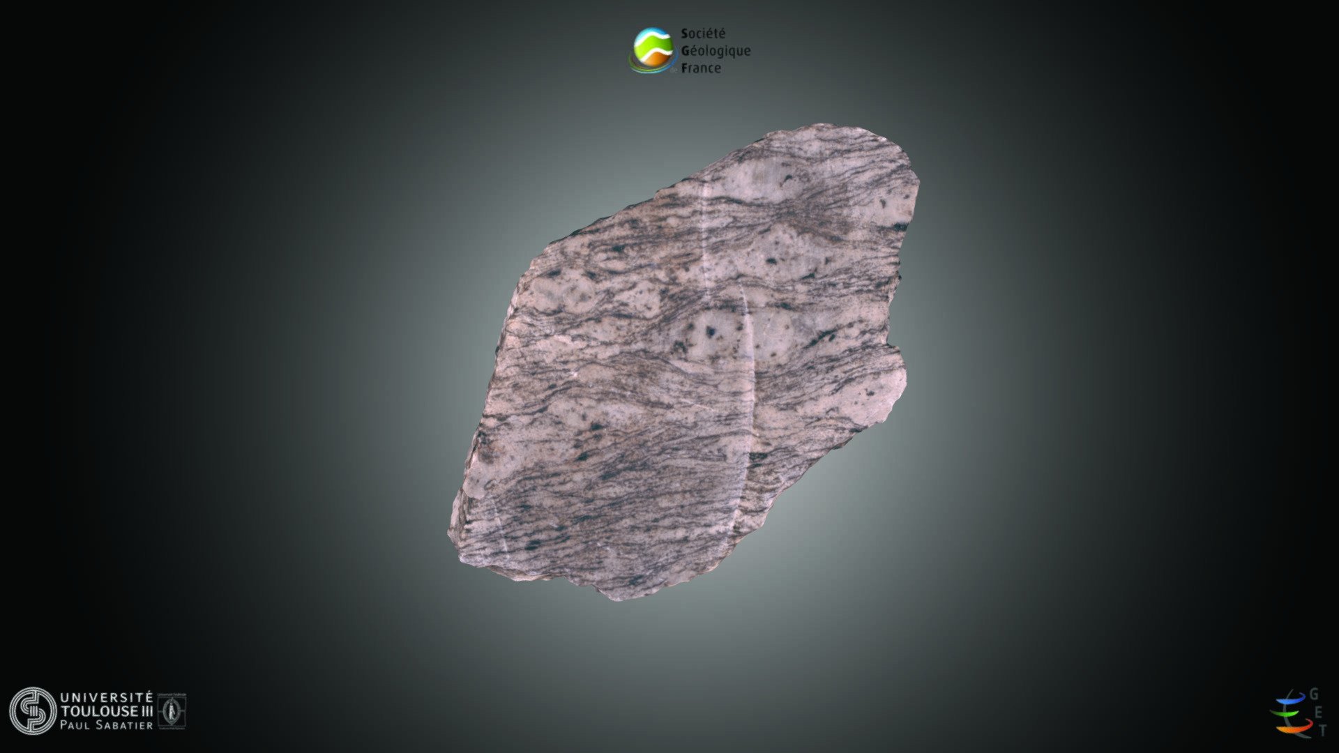 Roche - Gneiss - Download Free 3D model by Société Géologique de France ...