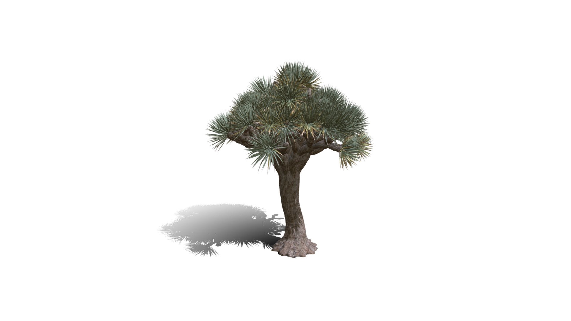 Realistic HD Dragon tree (49/50) - Download Free 3D model by ...