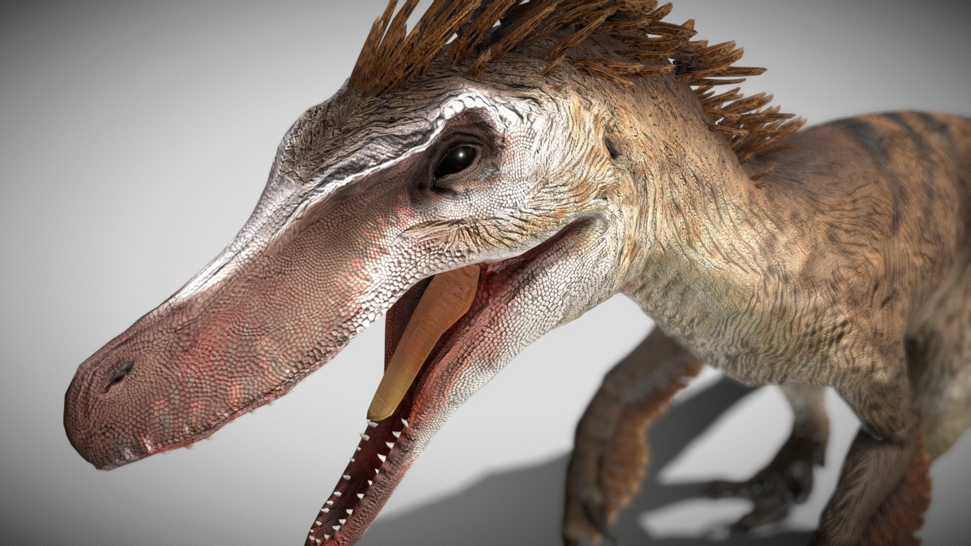 Velociraptor - 3D model by robertfabiani [01af63b] - Sketchfab
