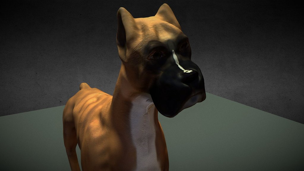 Dog - A 3D model collection by treasure1209 - Sketchfab
