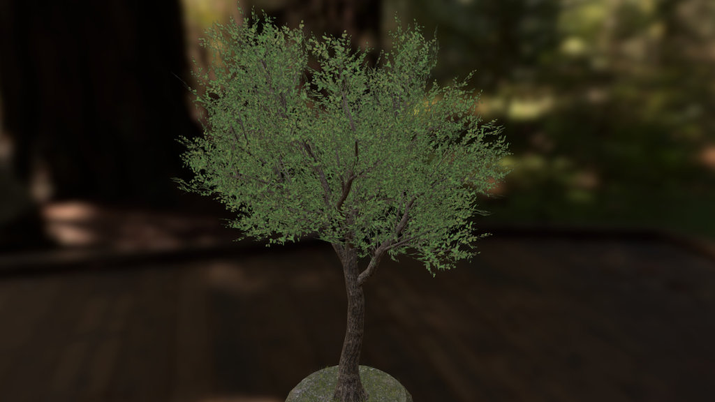 nature - A 3D model collection by apo11o - Sketchfab