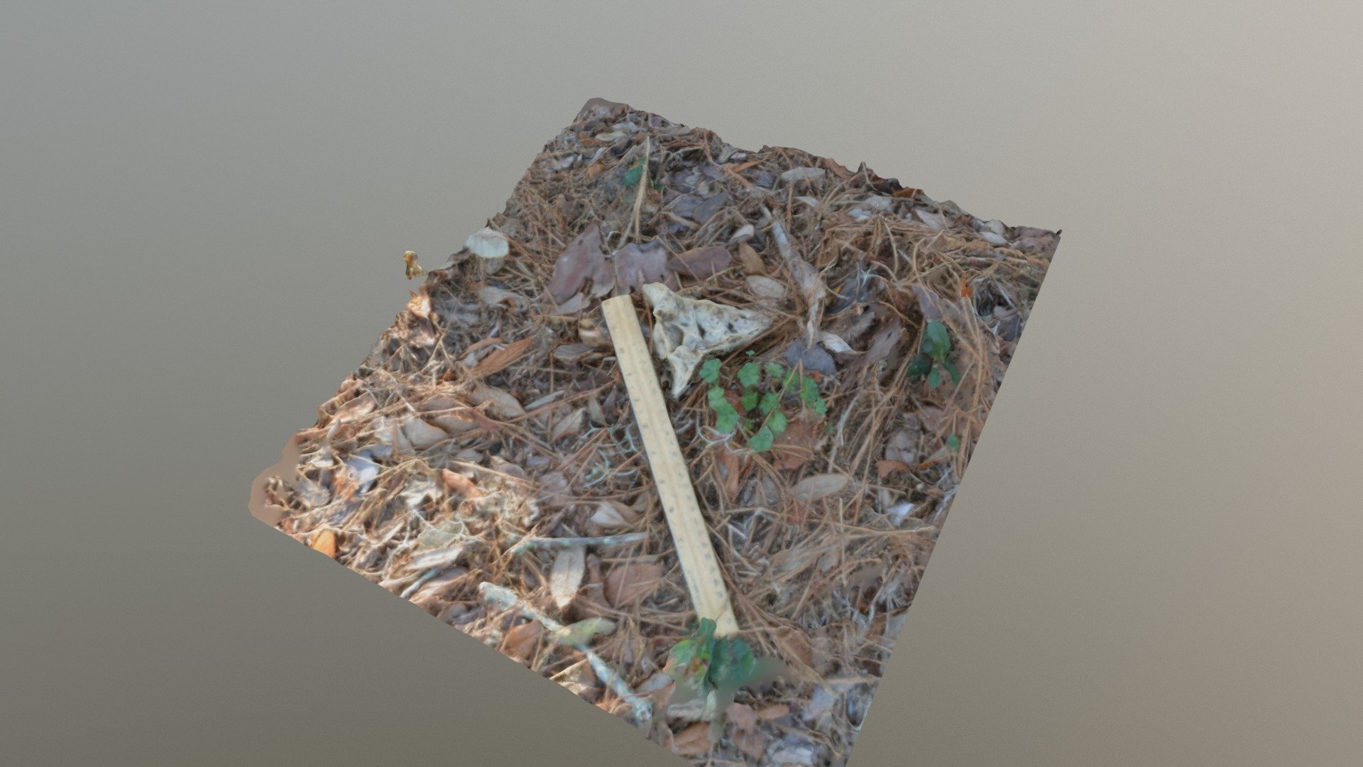Model 1 Best - 3D model by mhbranscome [01b88e0] - Sketchfab