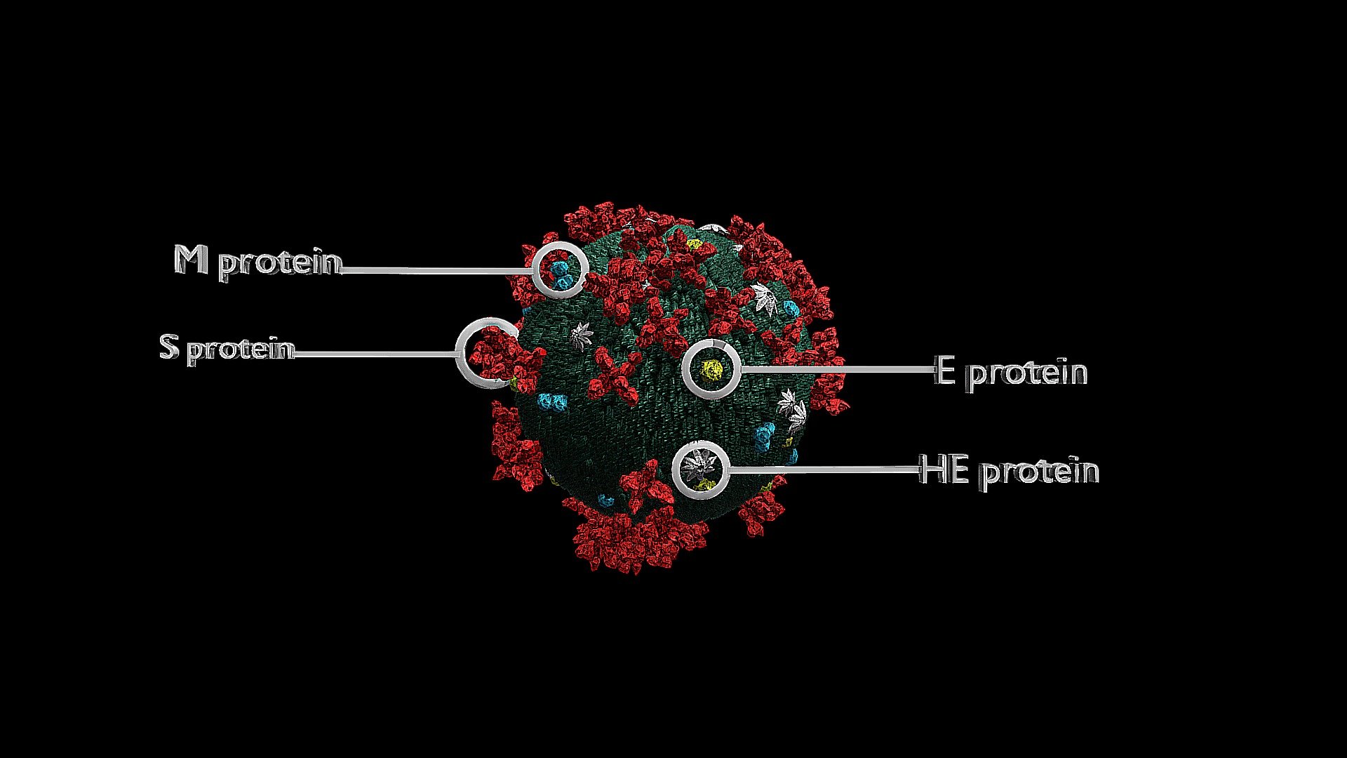 Covid 19 Virus - Download Free 3D model by Invictus fulgur (@Invictus ...