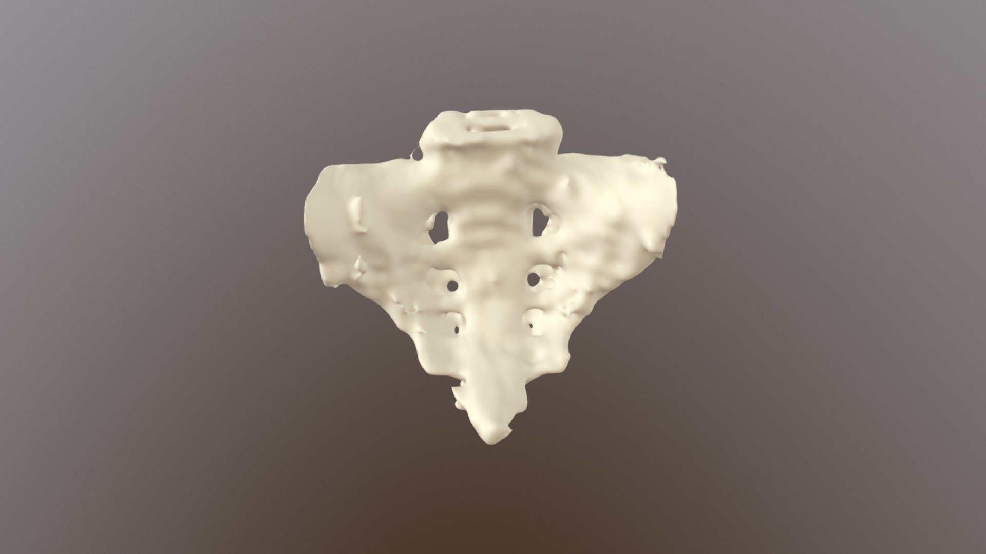 Sacrum: 9309F - 3D model by merware [01cd62d] - Sketchfab