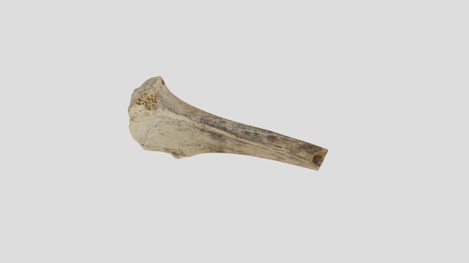 UW54558 Natural Trap Cave - 3D model by University of Wyoming Libraries ...