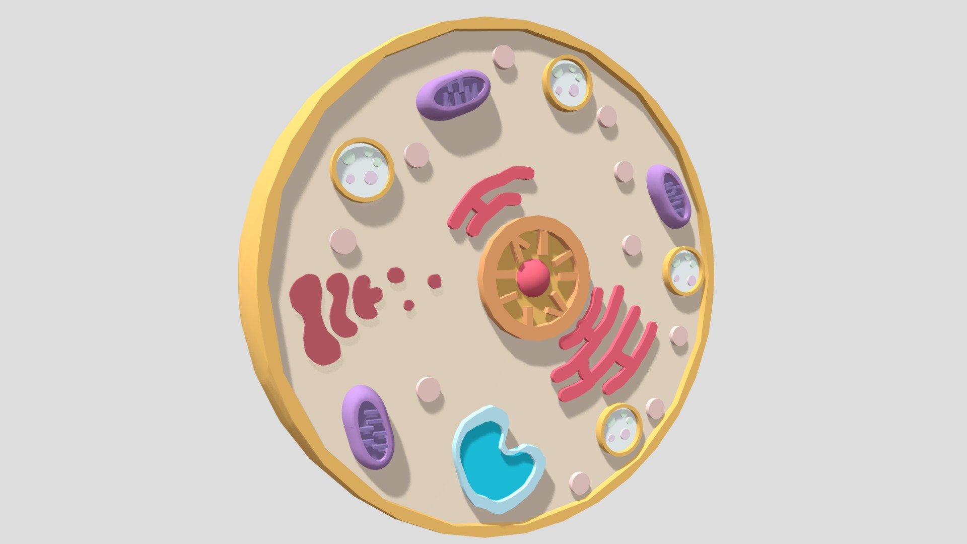 3D Animal Cell - Download Free 3D model by CowboyTruman [01dad01 ...