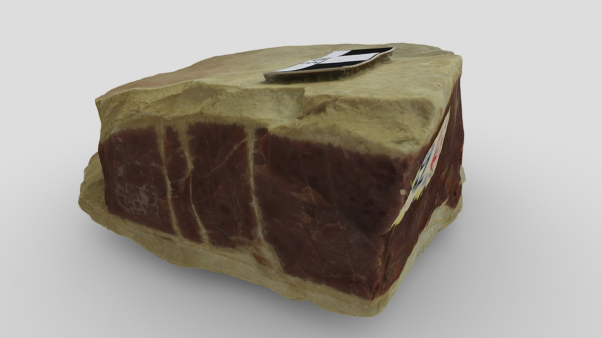 Radiolarite - Download Free 3D model by Sara Carena (@saracarena1 ...