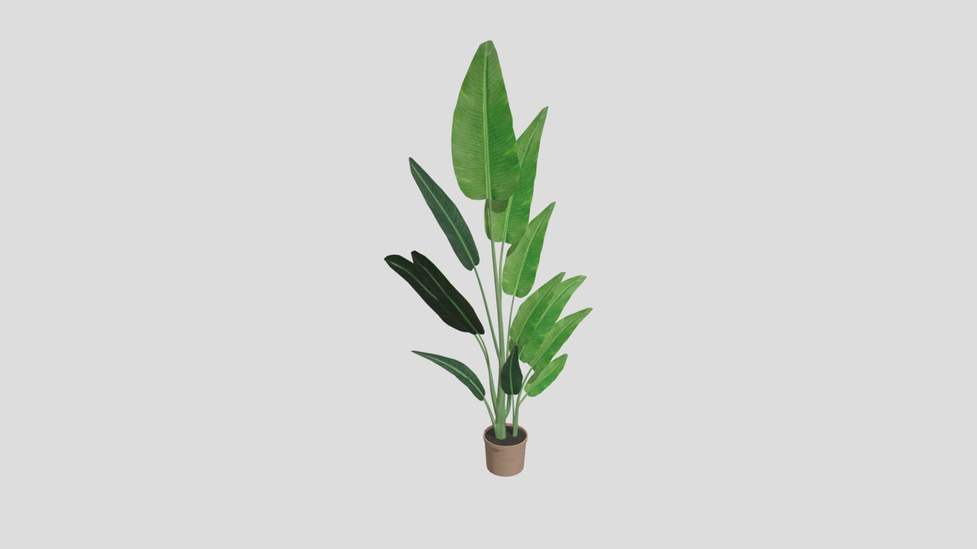 Plant - Download Free 3D model by balljar [01fa554] - Sketchfab