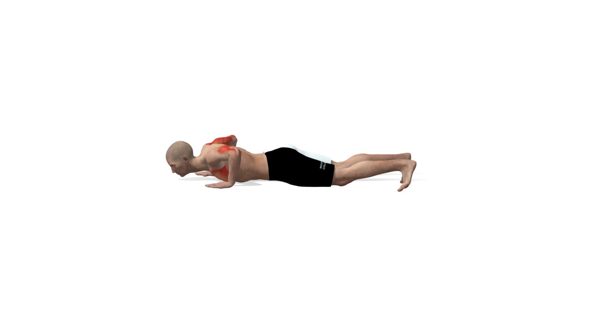 Push UP - 3D model by Mountain Collective (@mountaincollective ...