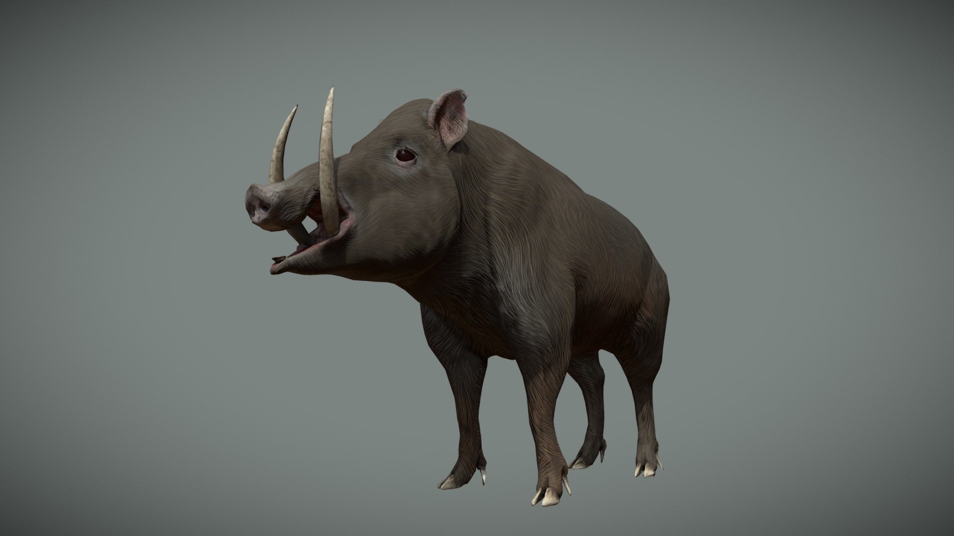 Medieval Wild Boar - 3D model by naomimoore [01fde73] - Sketchfab
