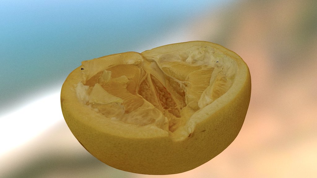 Pomelo - Citrus maxima - Download Free 3D model by Mantas Talmantas ...