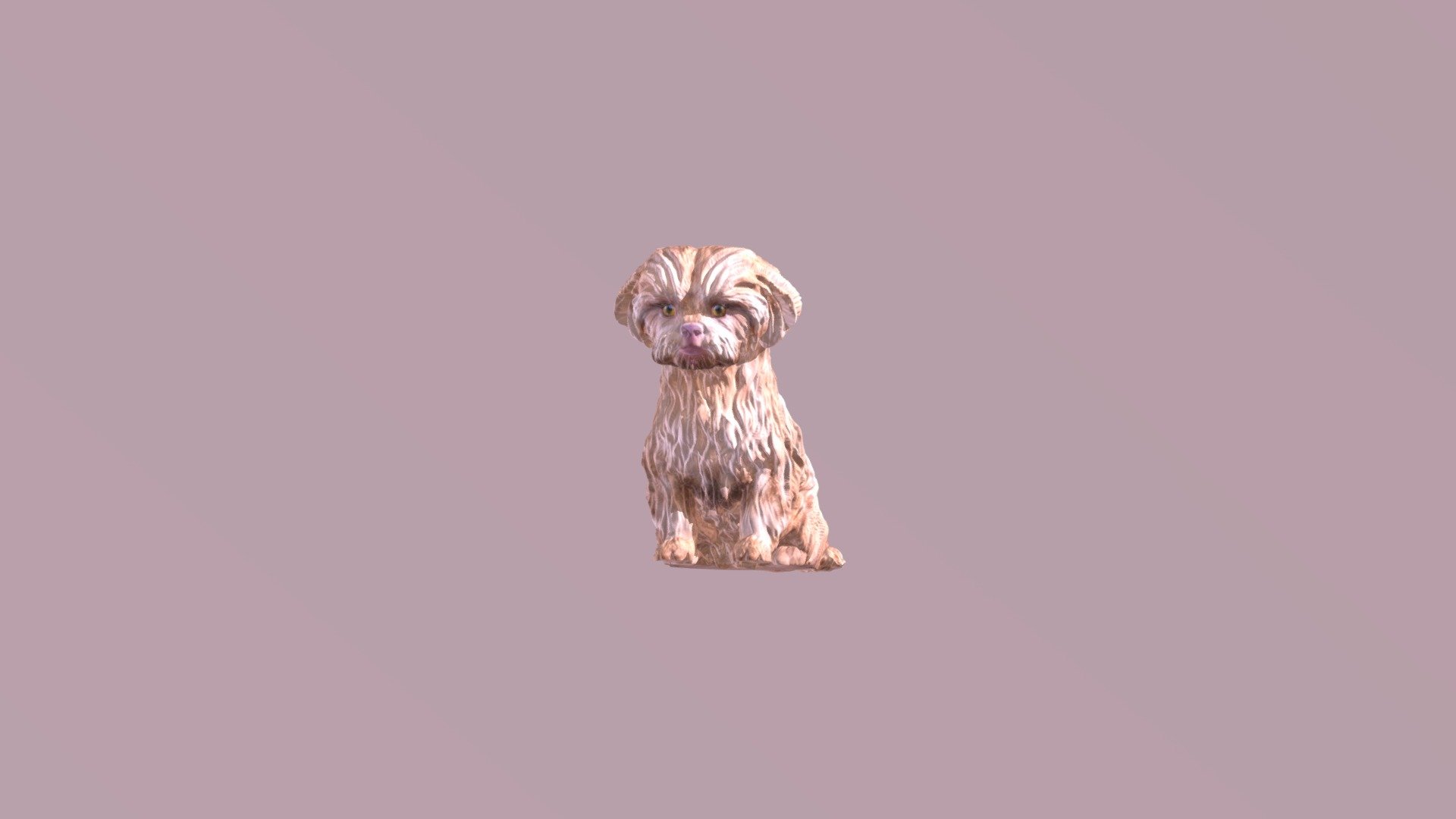 1811000- Luna- Shih Tzu - 3D model by Arty Lobster - Pet Sculptures ...