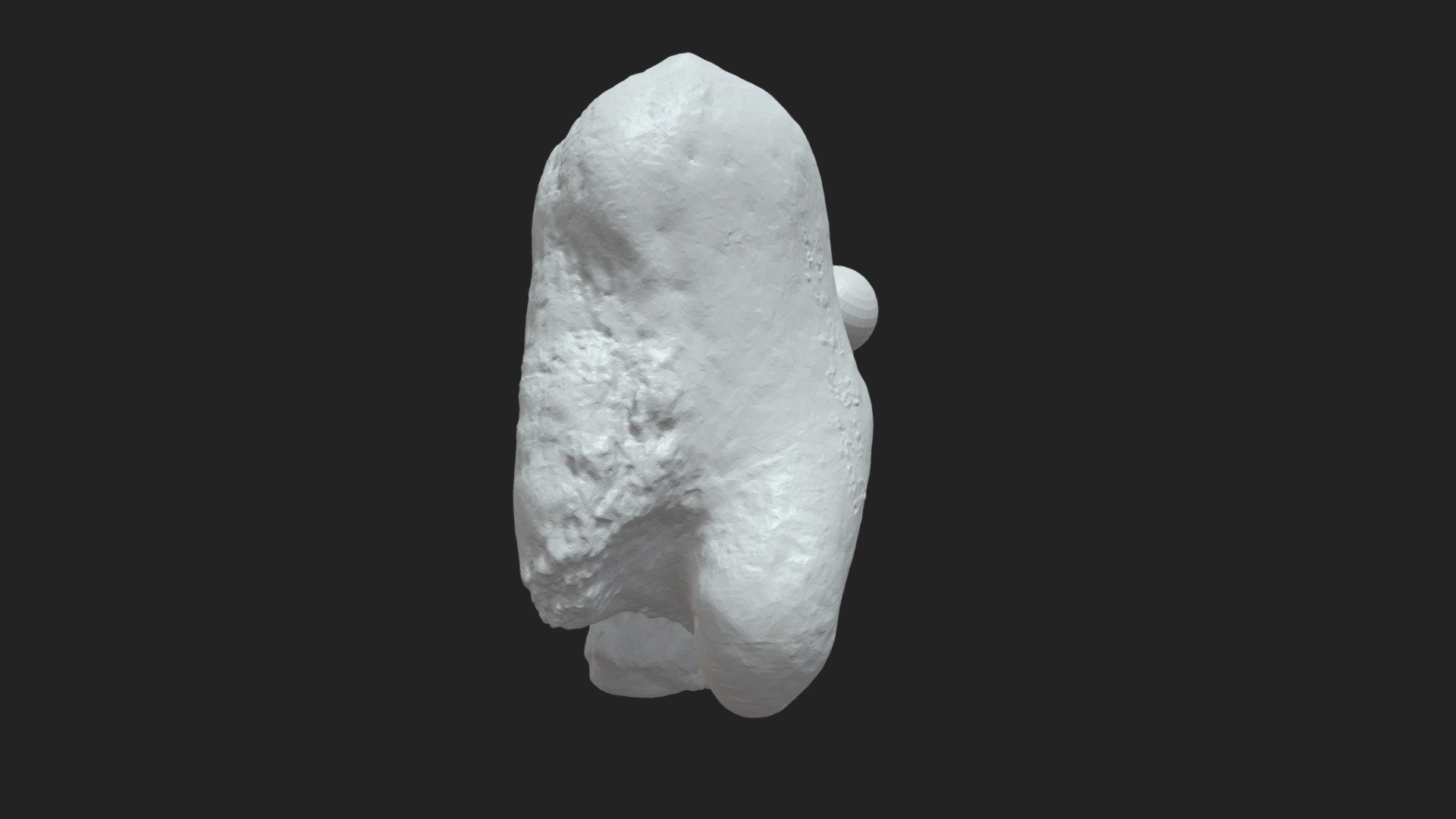 Pseudorca crassidens_USNM219325_tyb - 3D model by Gunma Museum of ...