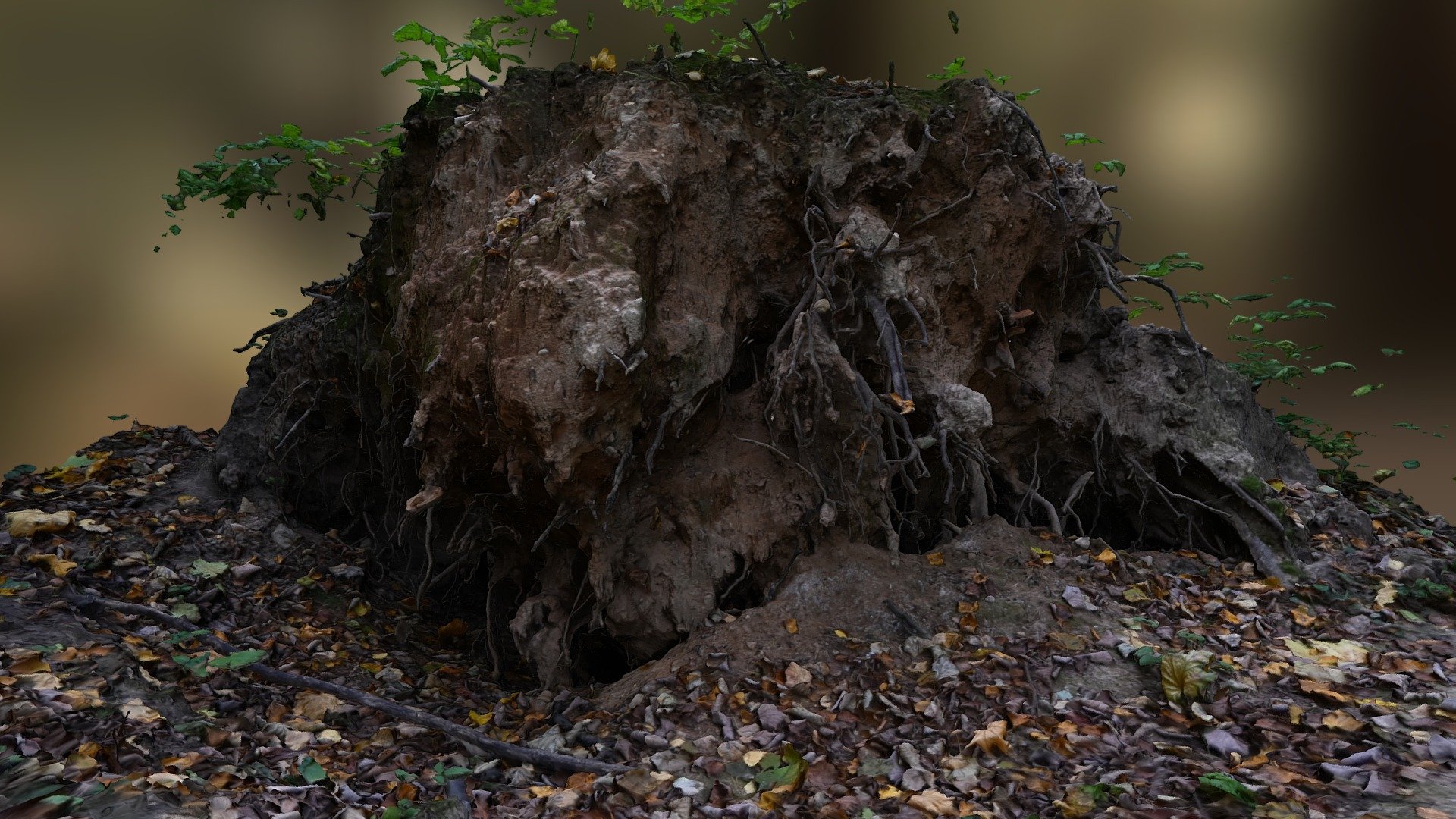 Roots of the fallen tree - 3D model by Neo_minigan (@neominigan ...