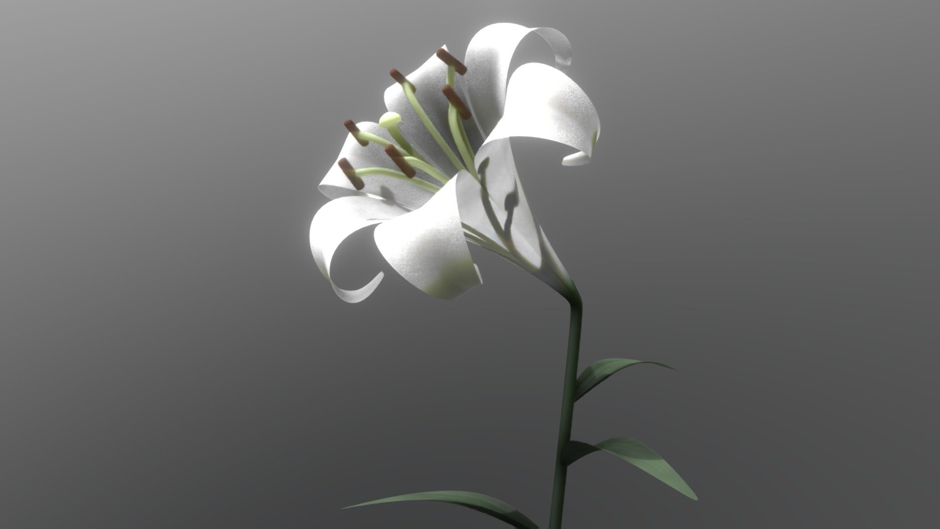 Lily - 3D model by kurohyou831 [02217ad] - Sketchfab