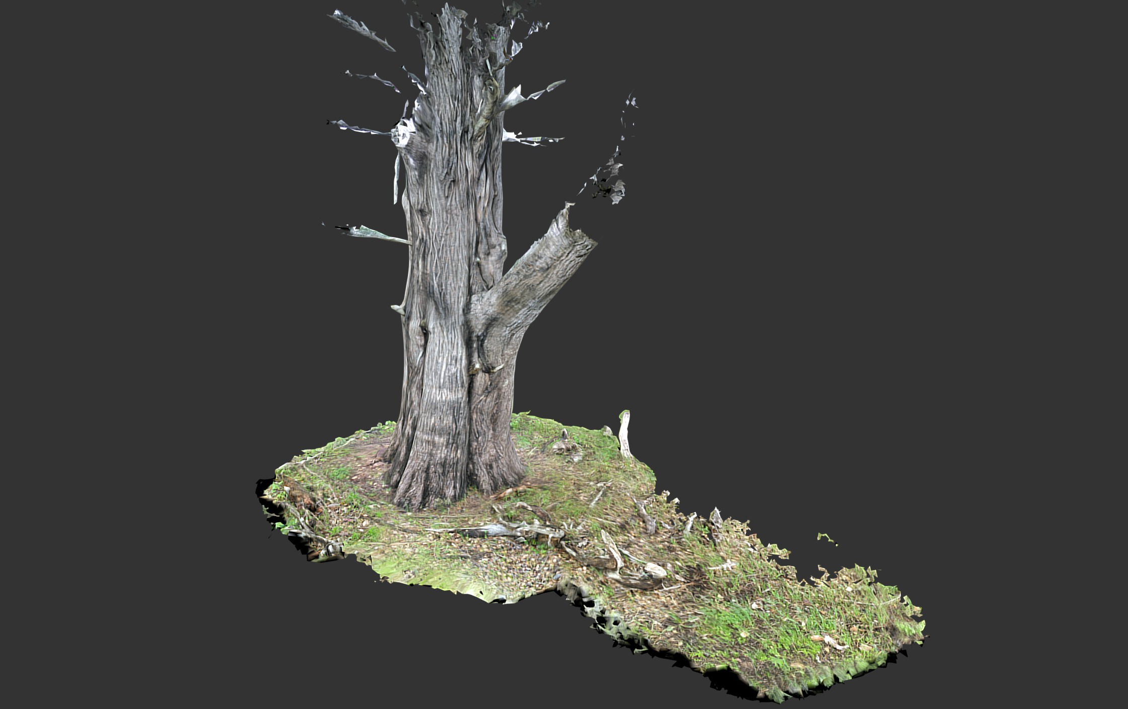Tree trunk - 3D model by ms3d [0227c2f] - Sketchfab
