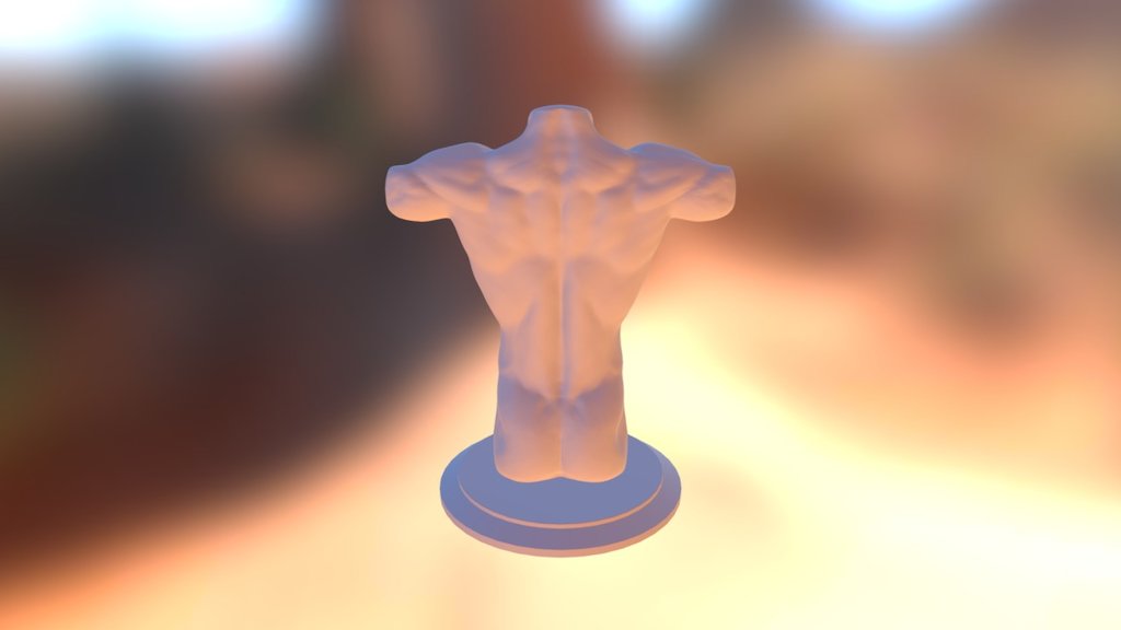 Muscular Torso Study - Download Free 3D model by Kris Treiber ...