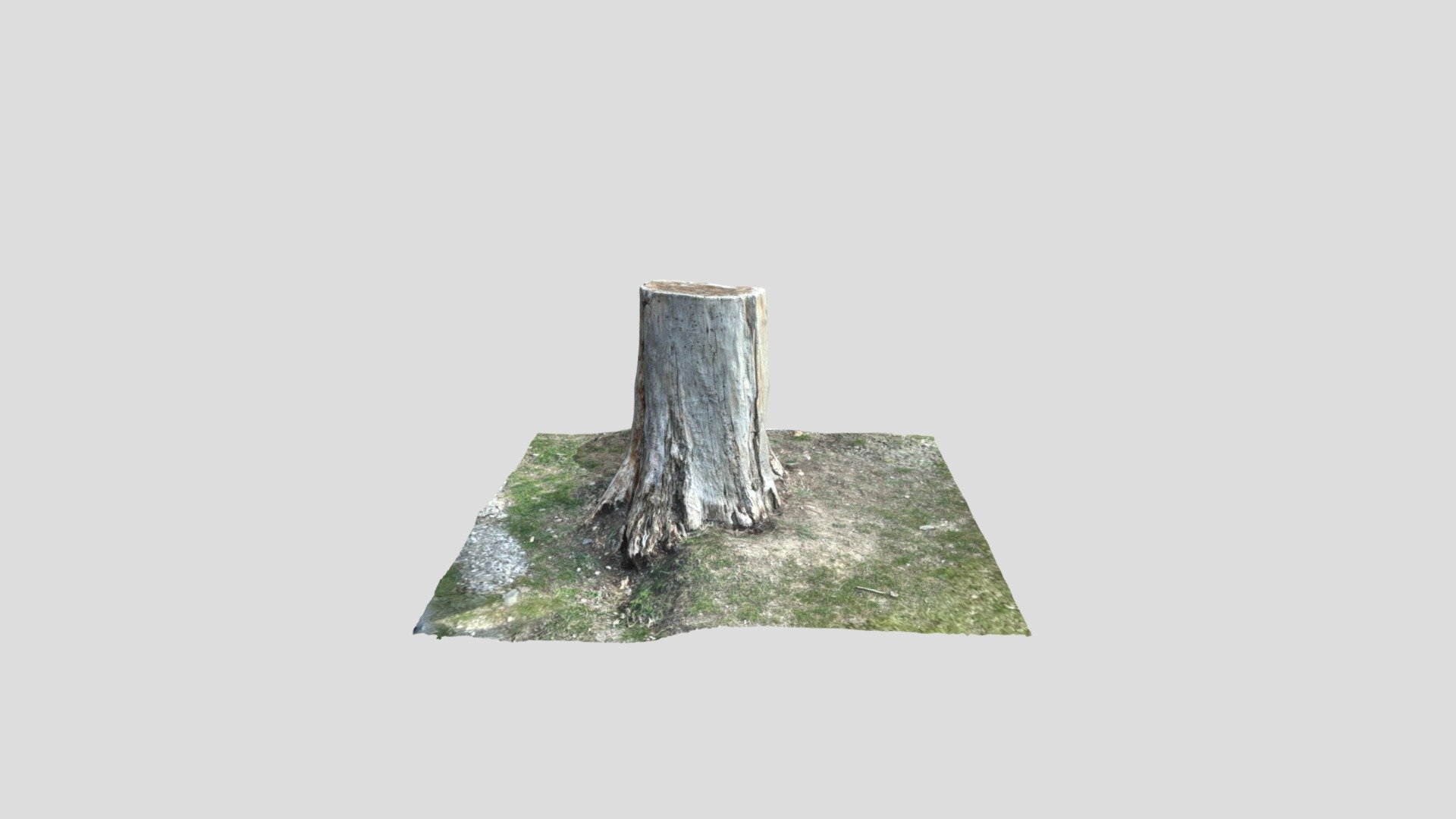 Stump - Download Free 3D model by dmitry.sind [0238bca] - Sketchfab