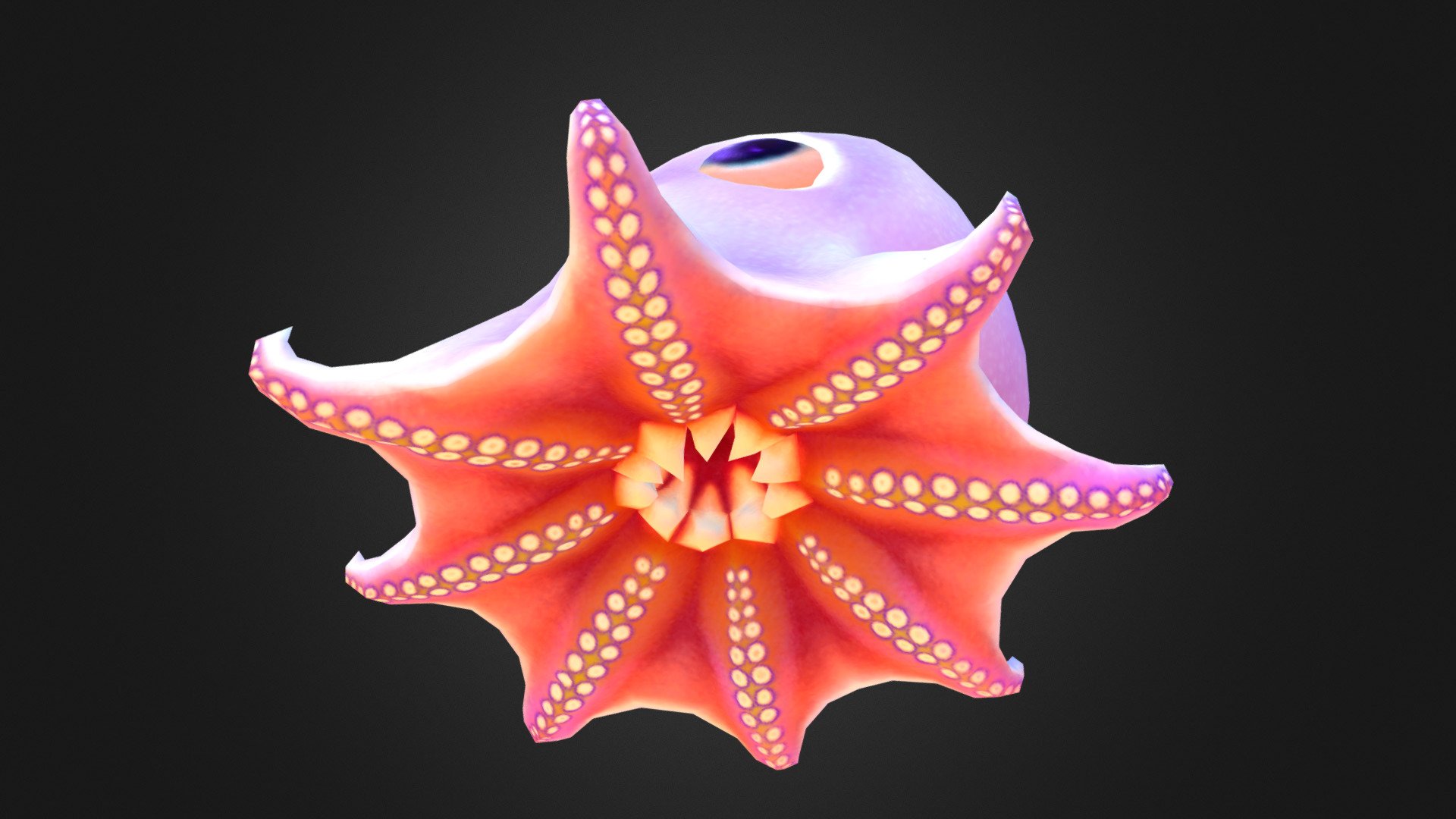 Octopus Baby - 3D model by paoletti.lc [023b242] - Sketchfab