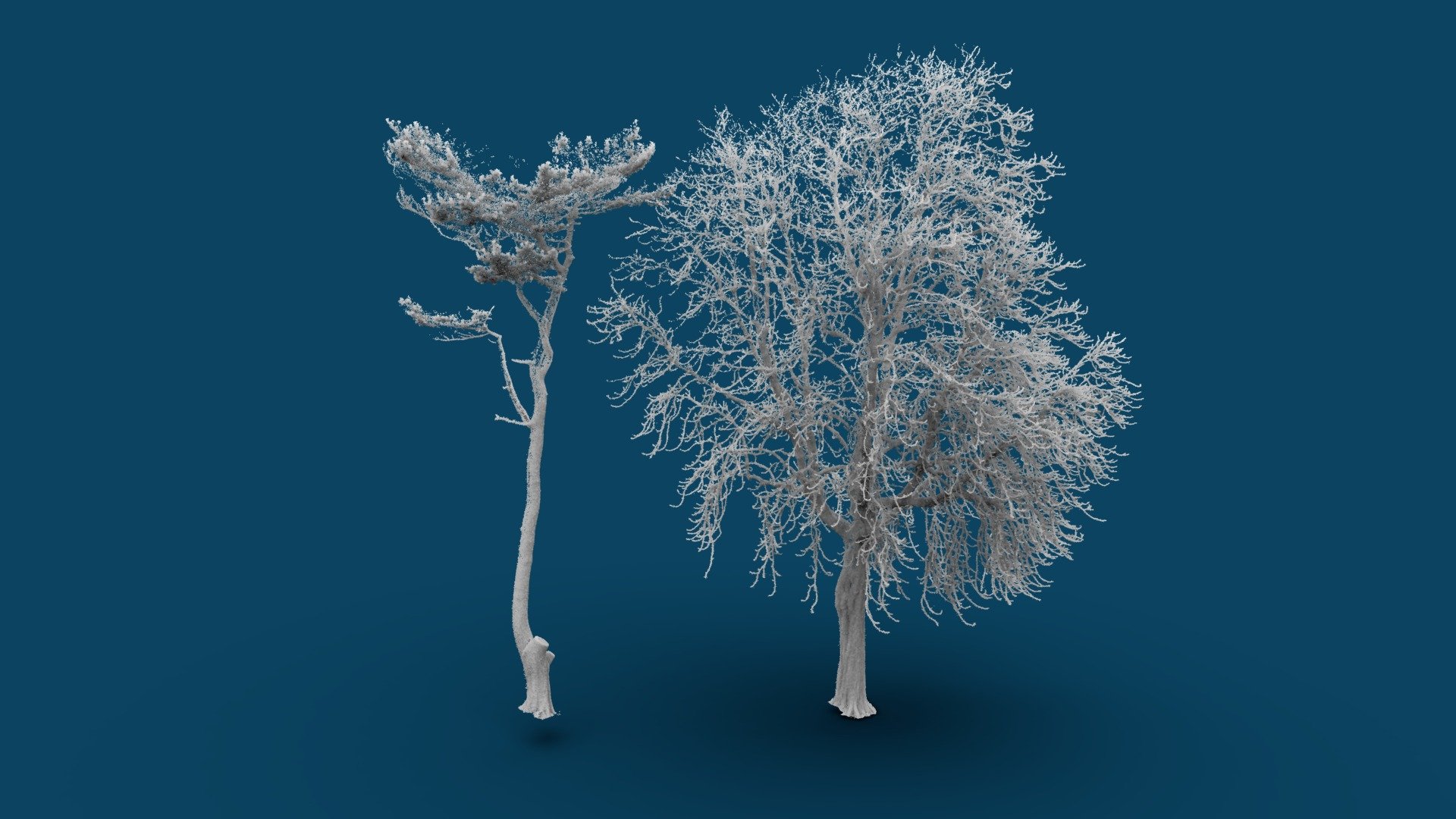 Ciaran's Fury: Trees Fallen by the Storm - 3D model by Q-ForestLab (Ghent University) (@CAVElab ...