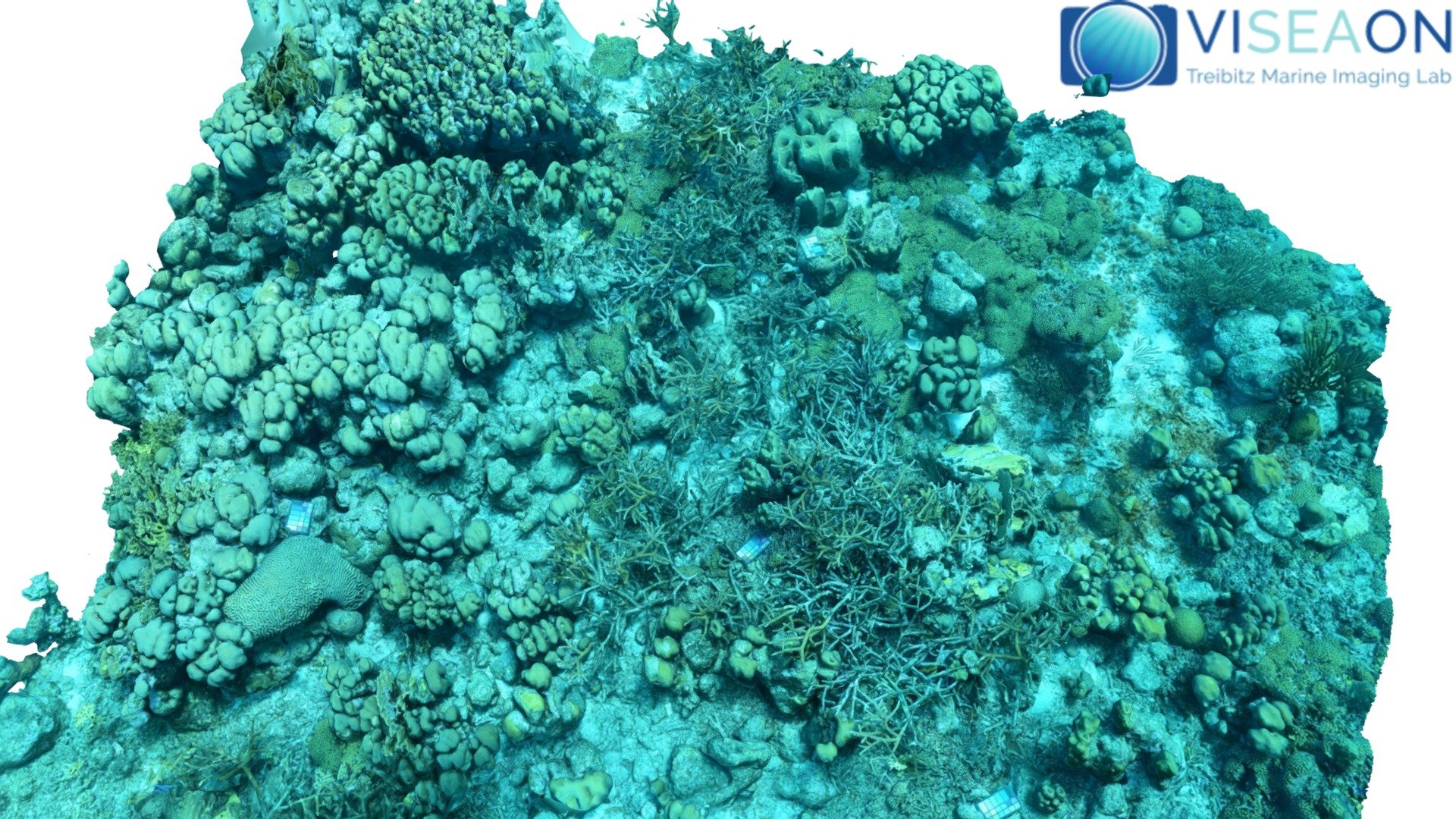 Coral Reef depth 7 m, East Side MPA, Curacao - 3D model by VISEAON ...