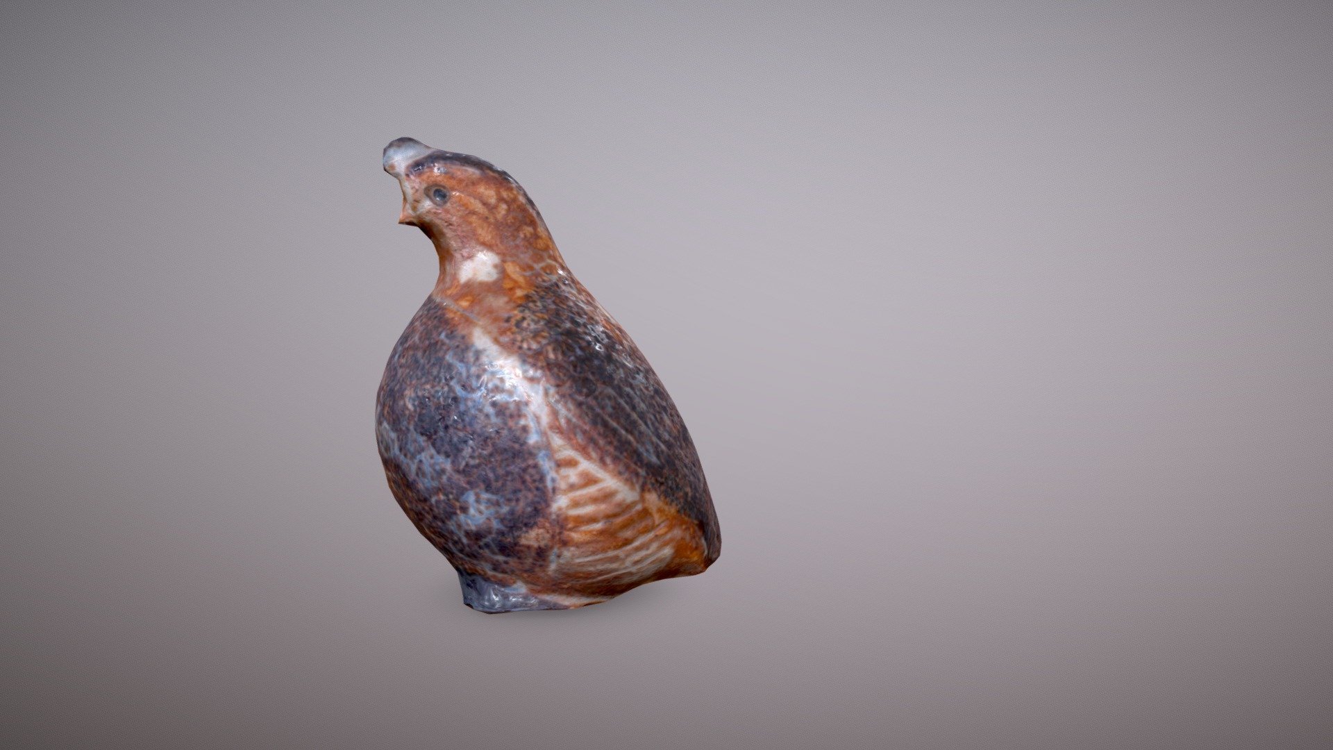 Quail Project - Download Free 3D model by marsolinoml [024a8d8] - Sketchfab