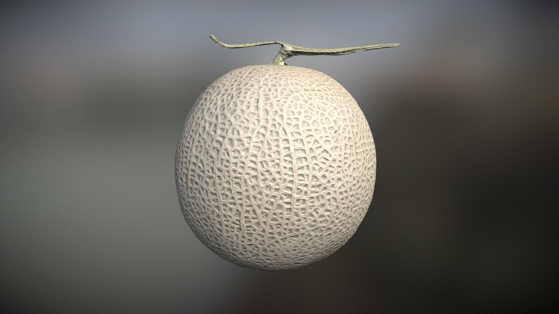 melon - 3D model by ifuruta [0253993] - Sketchfab