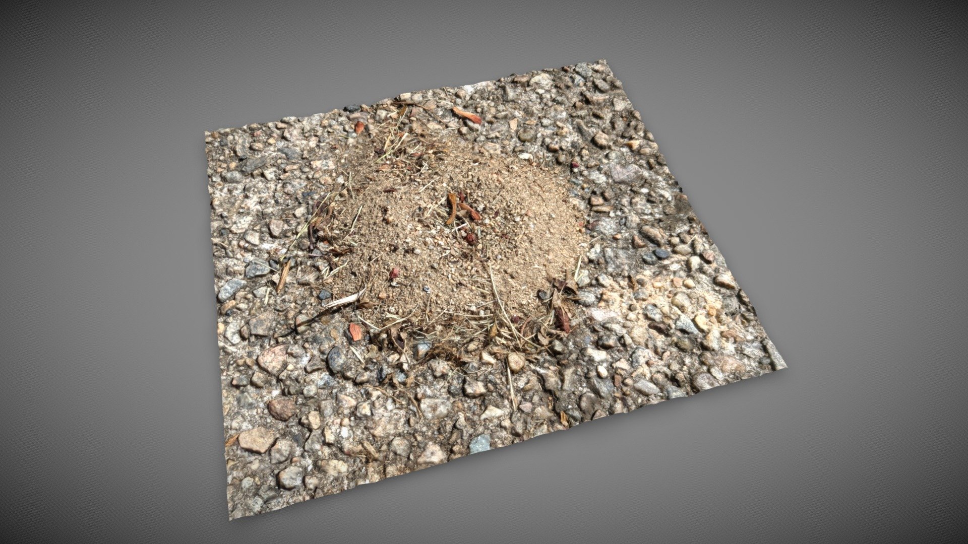Abandoned anthill - Download Free 3D model by Abby Crawford (@abby ...