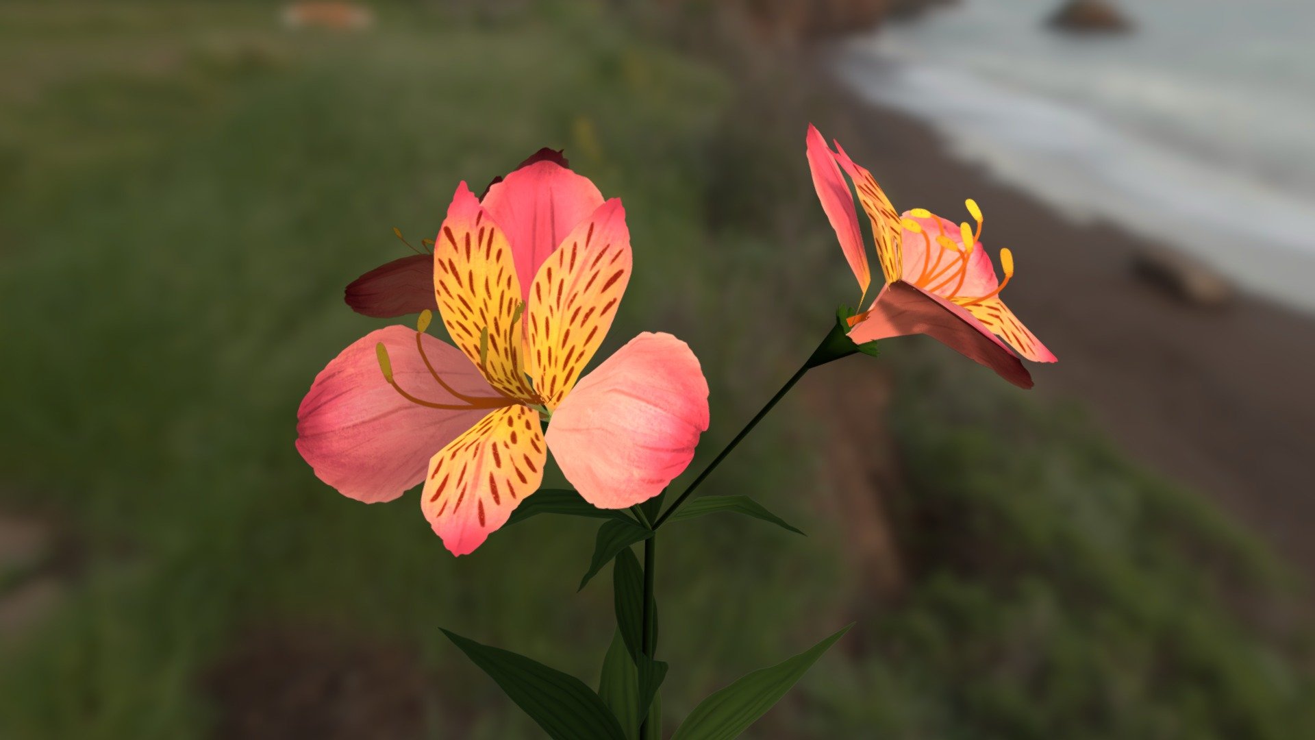 Lilly flower - 3D model by krimsons [0269f96] - Sketchfab